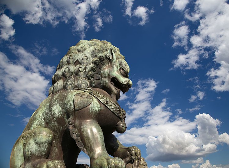 Wogen Resources Case Study - Zenzero