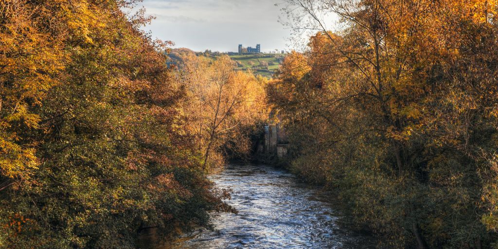 IT Support Derby - Zenzero