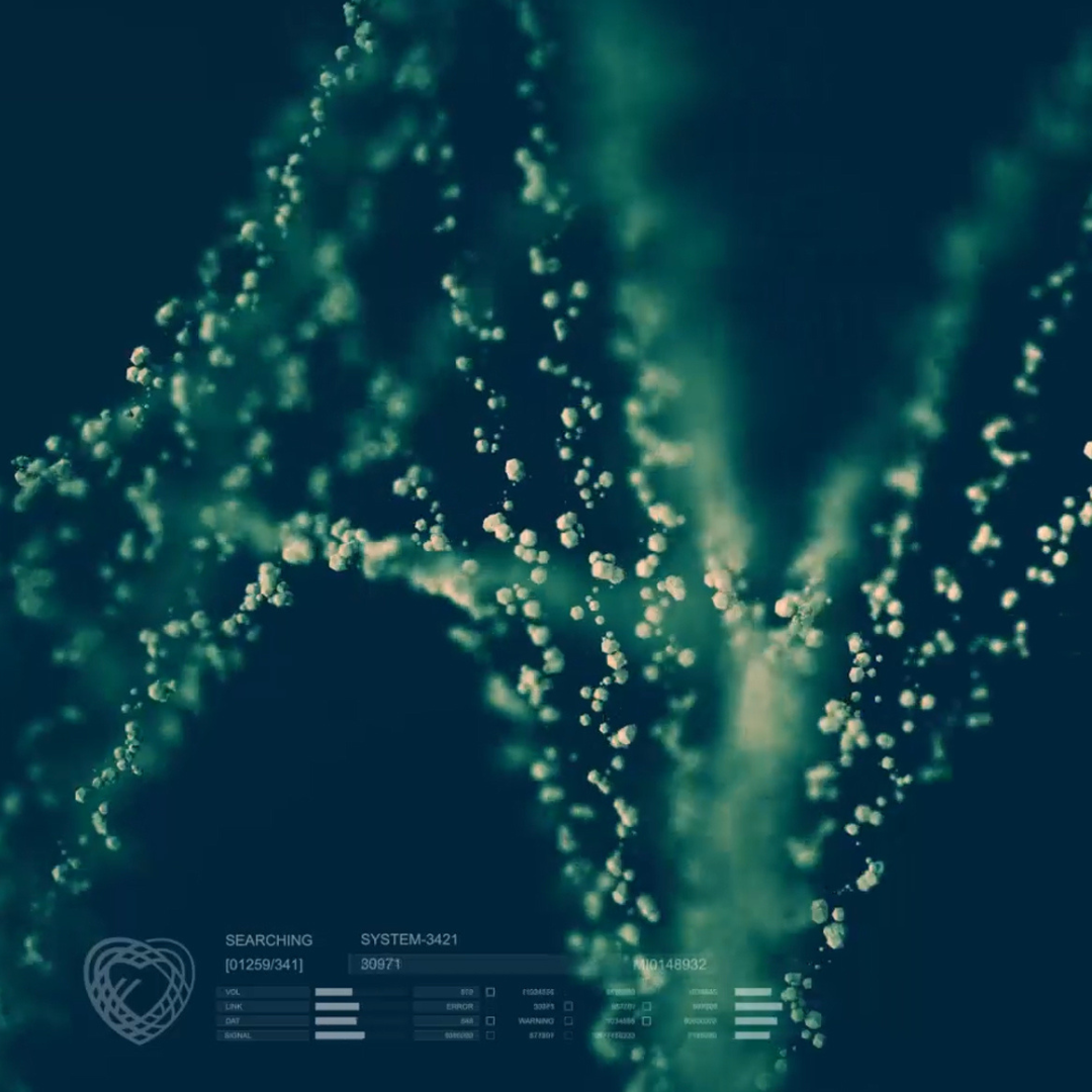 Case Studies - Zenzero